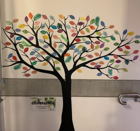 Brophy Family and Youth Services - Home